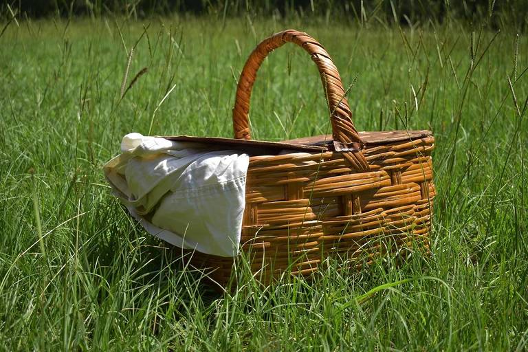 Where can you have a picnic in Rome? 12 beautiful places