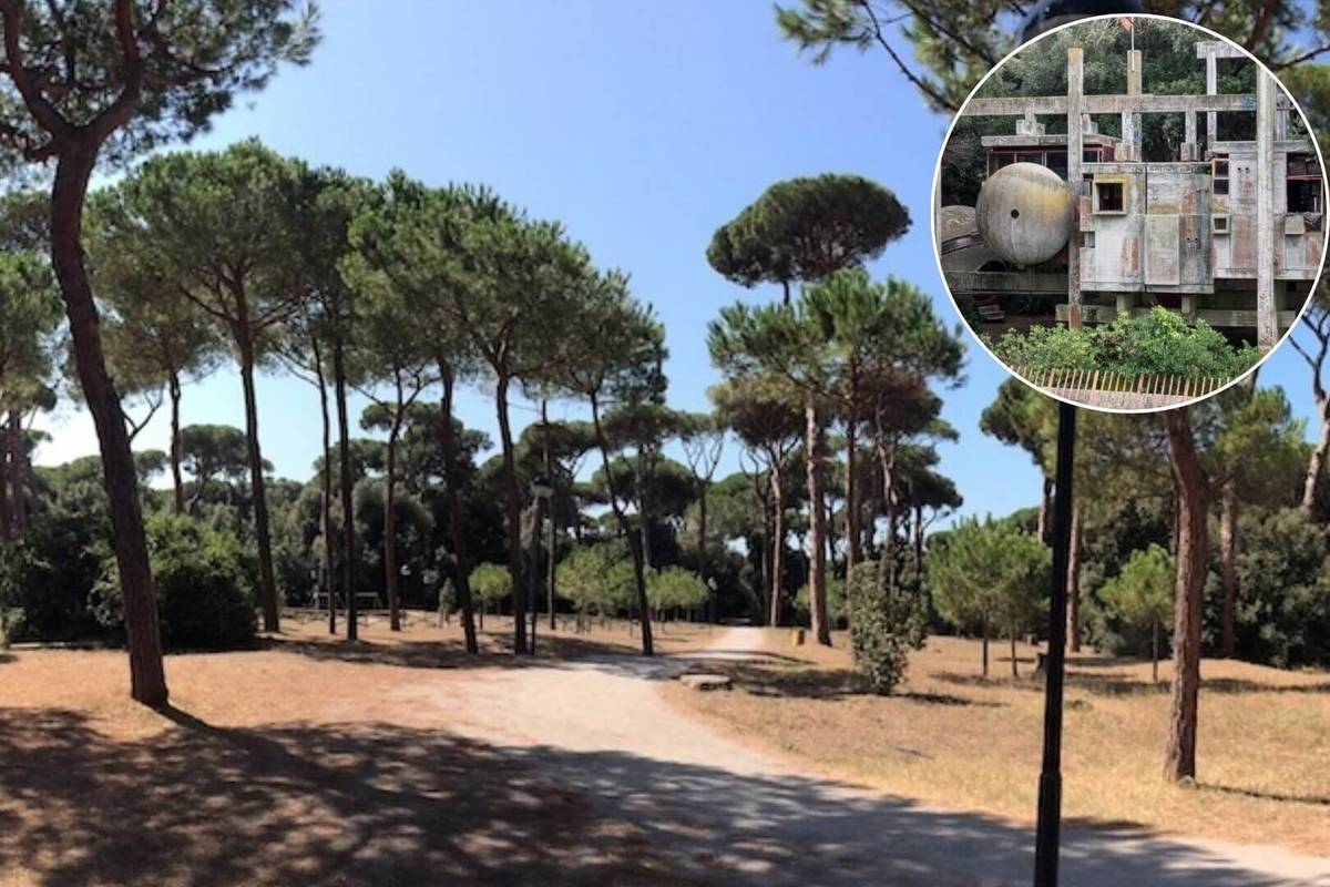 It looks like something out of a science fiction movie, "The Tree House ...
