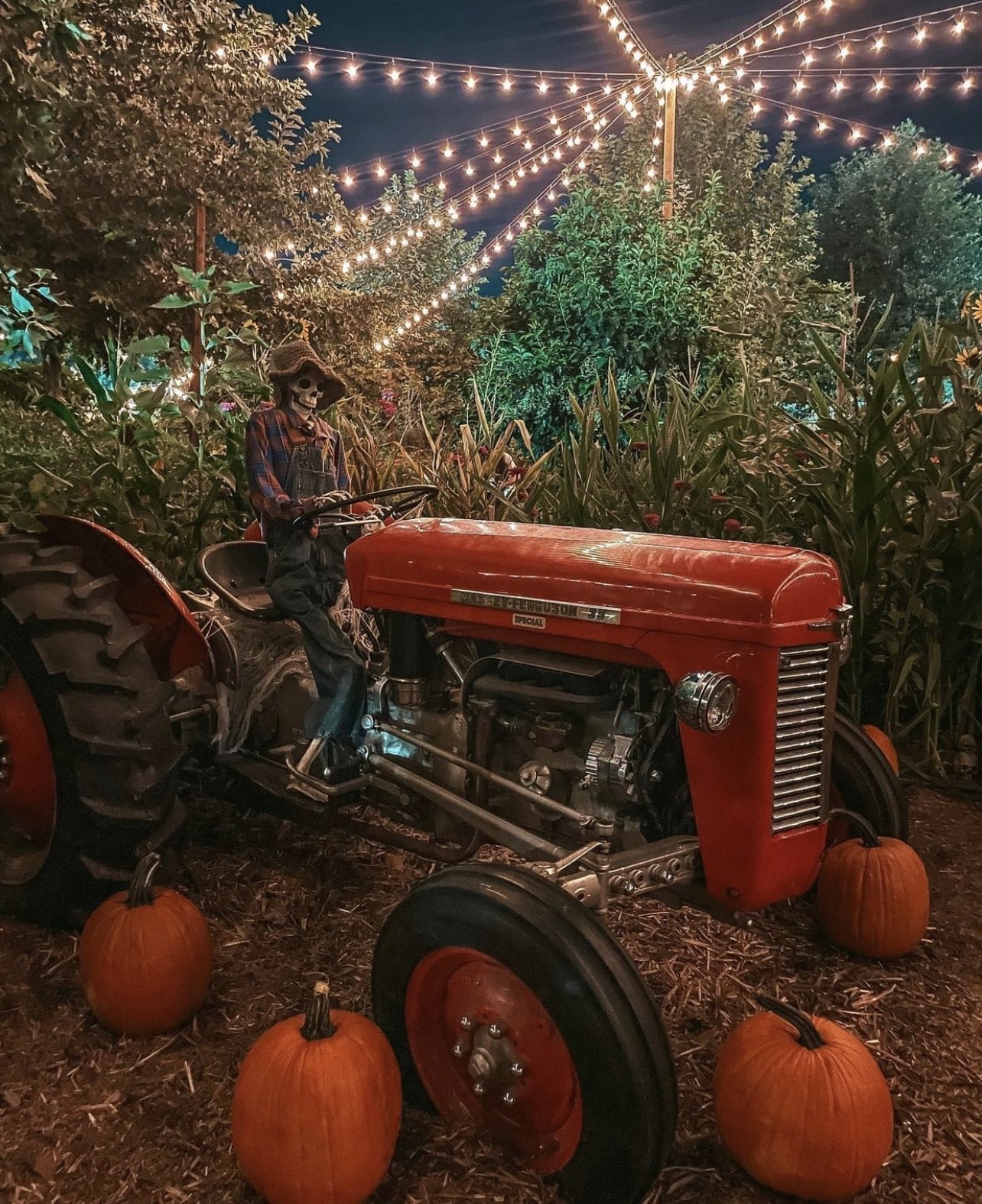 Visiting This Pumpkin Farm Is The Perfect October Plan