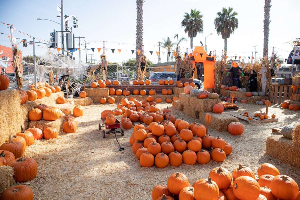 8 Ways To Celebrate Halloween In San Diego