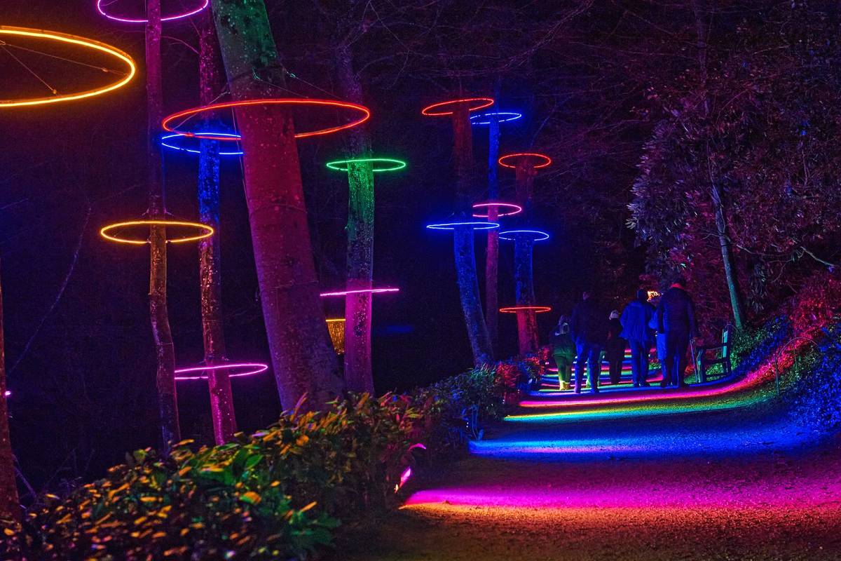 San Diego’s Beloved Holiday Experience 'Lightscape' Is Now Open