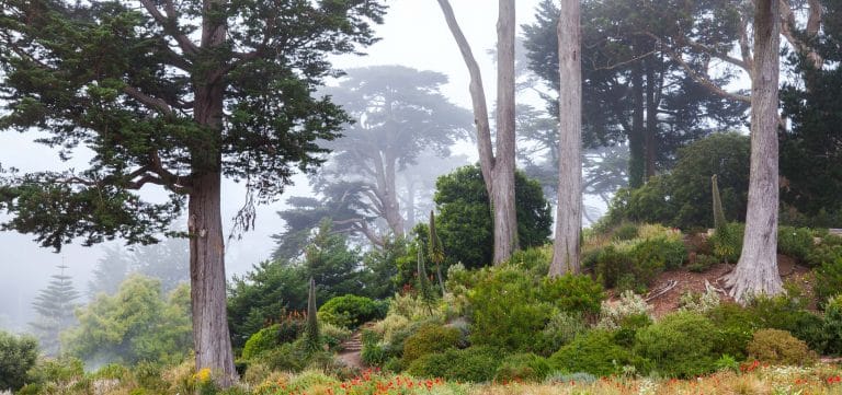 50 Epic Things To Do This August In The Bay Area - Secret San Francisco