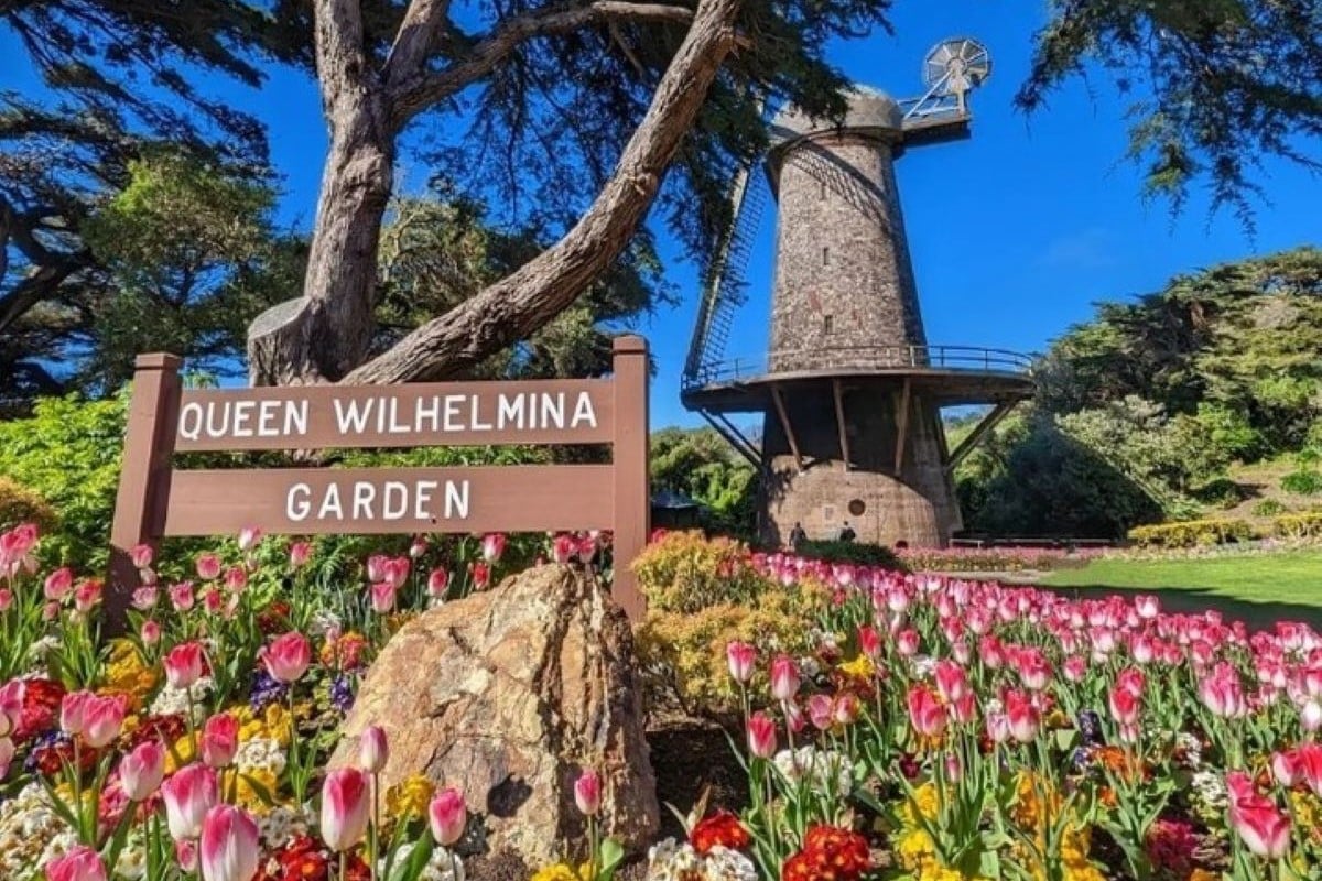 19 Delightful Things To Do This Spring In San Francisco
