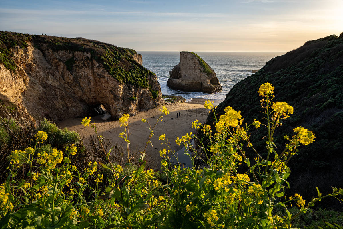 28 Scenic Bay Area Day Trips To Take At Least Once (2025)
