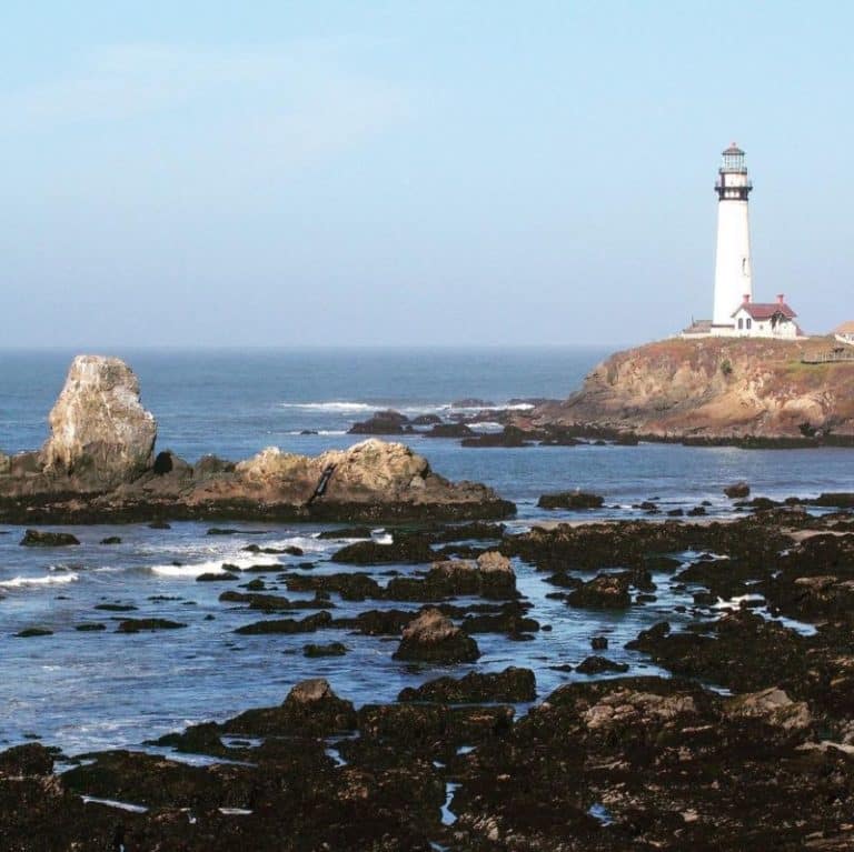 10 Fascinating Bay Area Tide Pools To Explore Today