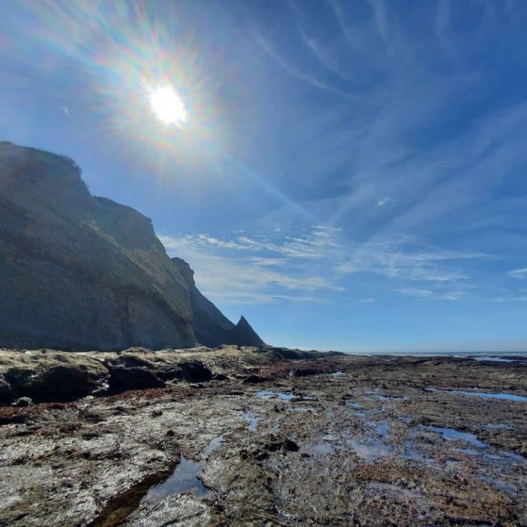 10 Fascinating Bay Area Tide Pools To Explore Today