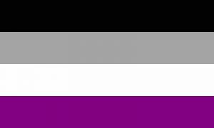 17 Of The Most Commonly Used LGBTQ+ Pride Flags And Their Meanings