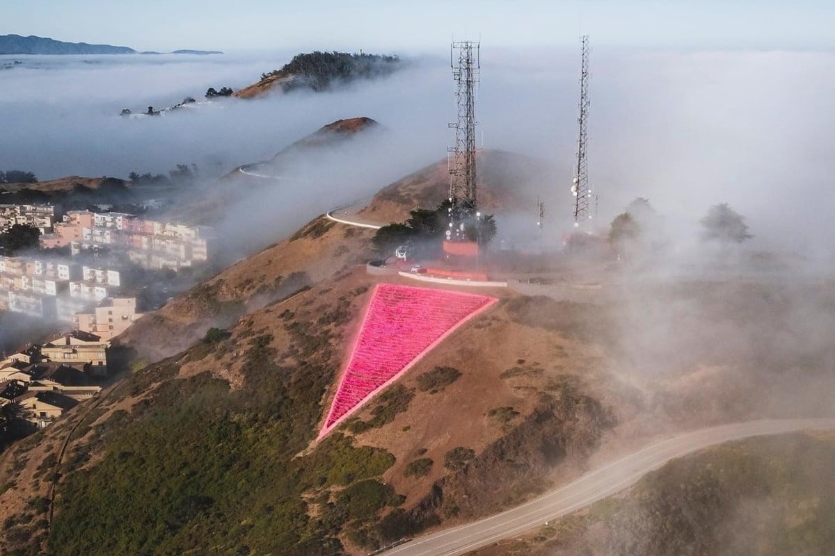 Only 2 Nights Left To See The 27th Annual Pink Triangle Shining Atop ...