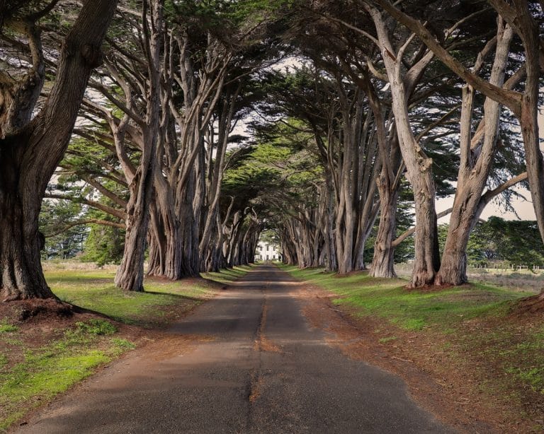 13 Breathtaking Places To Visit In Northern California