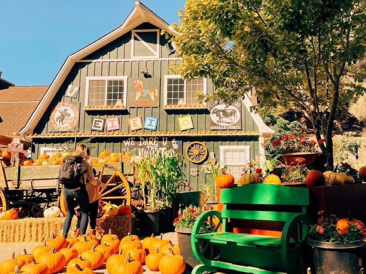 San Francisco Events October – 10 Best Things to Do in SF in October ...