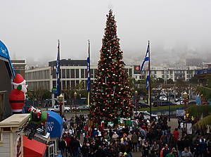 14 Christmas Tree Lightings In San Francisco This Season
