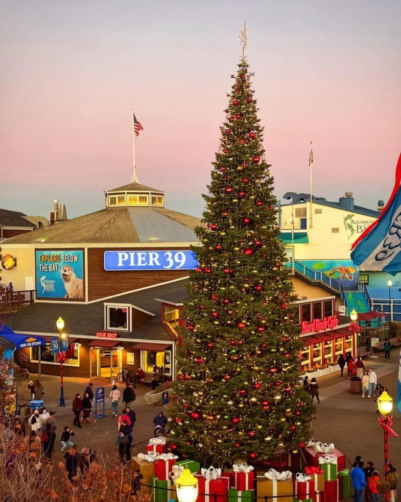 14 Best Christmas Tree Displays In San Francisco For 2023