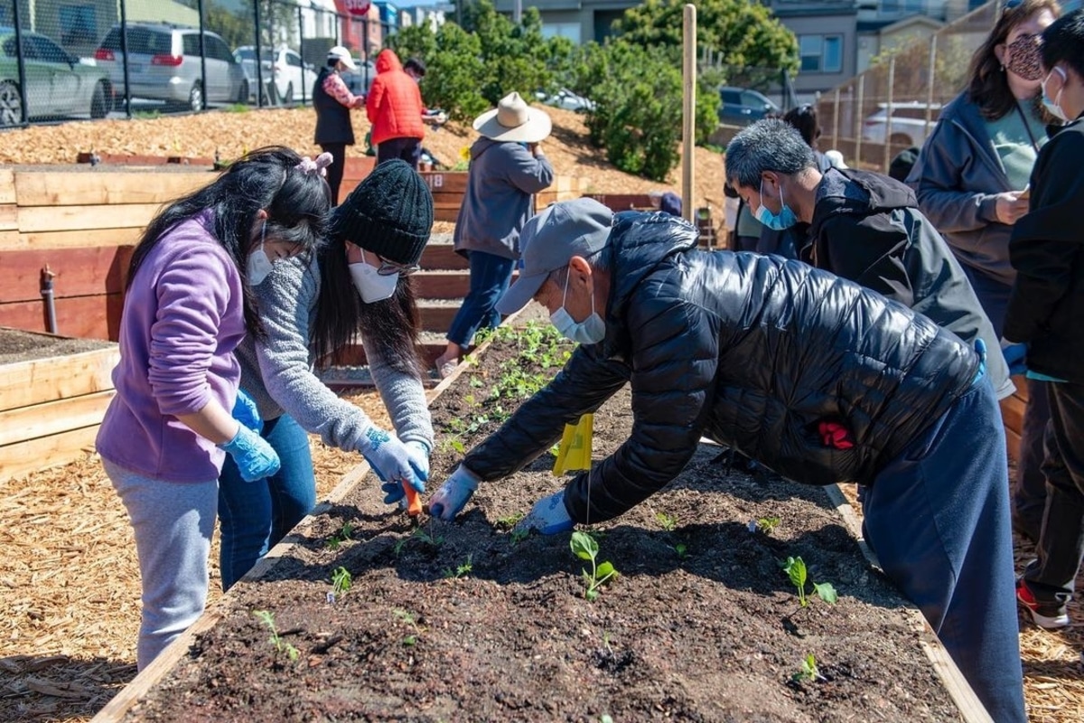 Celebrate 'Earth Month' In SF With Volunteer Projects, Plant Pop-Ups ...