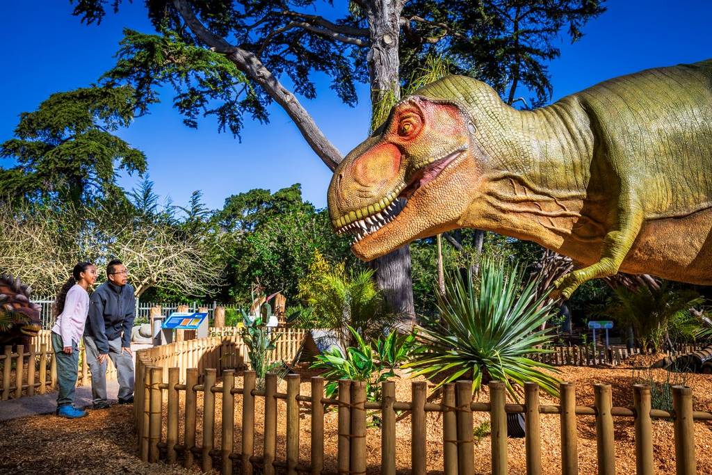 10 Best San Francisco Museum Exhibits This Summer/Fall 2025