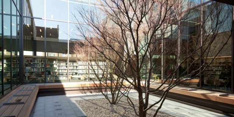 10 Stunning San Francisco Libraries Beloved By Local Bookworms