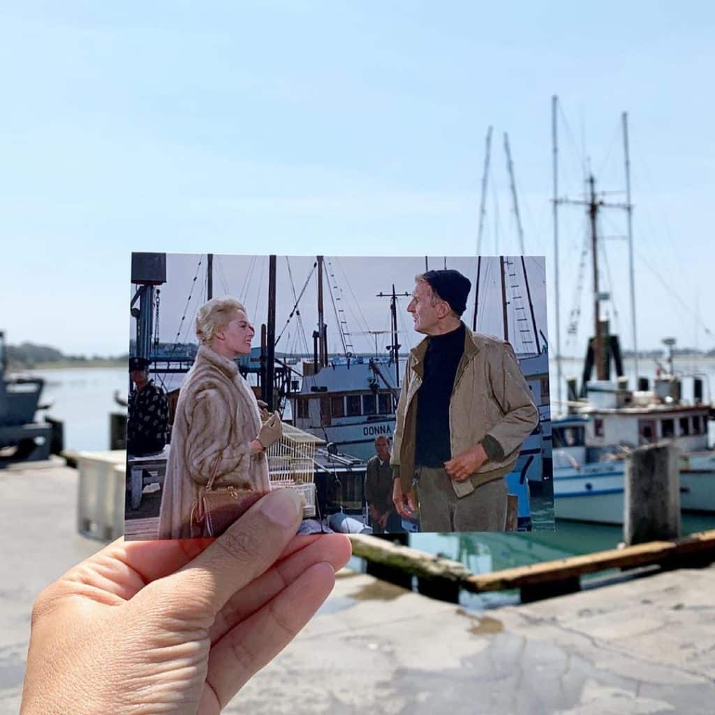 All The Bay Area Filming Locations From Hitchcock's 'The Birds'