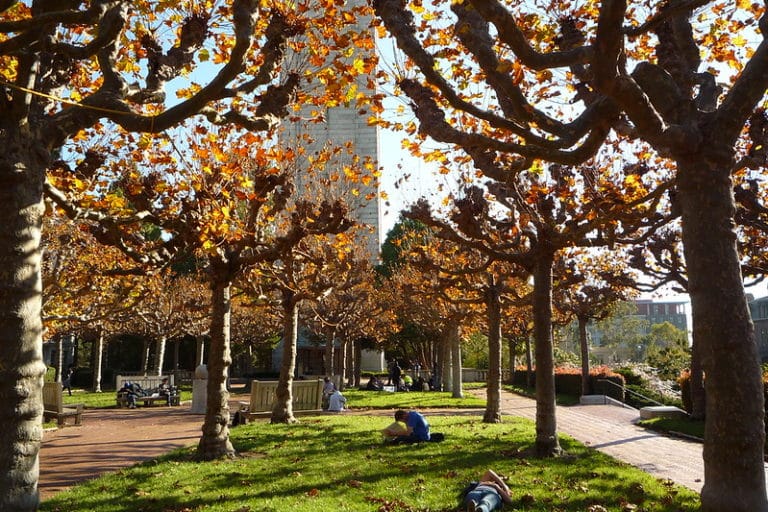 12 Bay Area Spots To See Fall Colors At Their Peak This Season