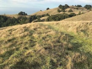 12 Bay Area Spots To See Fall Colors At Their Peak This Season