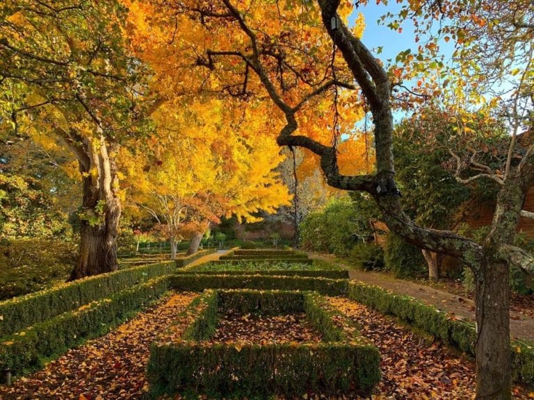 12 Bay Area Spots To See Fall Colors At Their Peak This Season