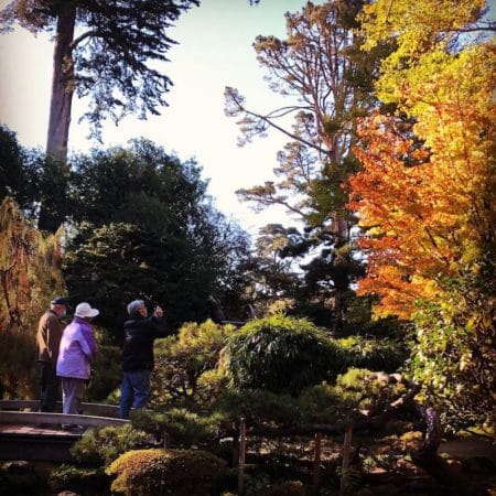 10 Gorgeous Places To See Fall Foliage In the Bay Area - Secret San ...