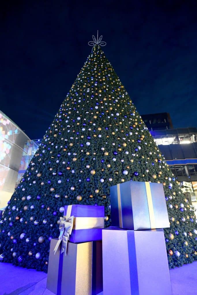 14 Best Christmas Tree Displays In San Francisco For 2023
