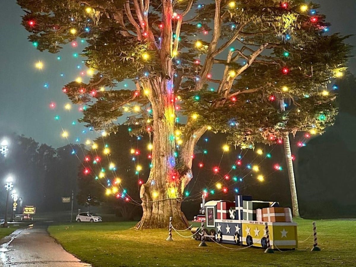 SF's Golden Gate Park Holiday Tree Lighting - Secret San Francisco