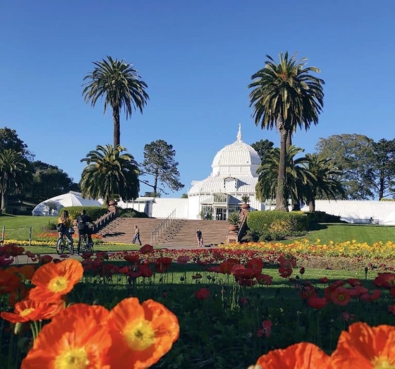 21 Delightful Things To Do This Spring In San Francisco (2025)