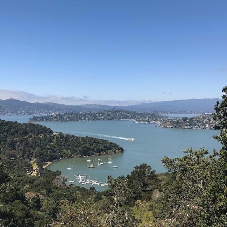 28 Scenic Bay Area Day Trips To Take This Winter 2025