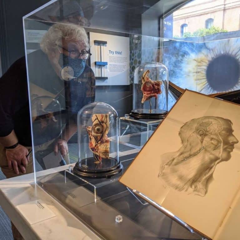 17 Free Museums And Exhibitions To Visit In San Francisco