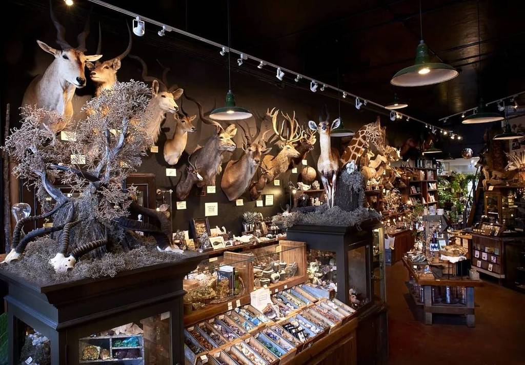 5 Extraordinary Metaphysical Stores For San Francisco Witches