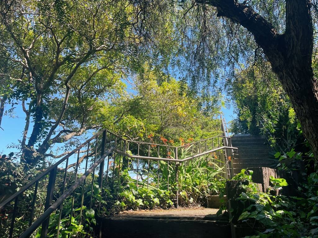 This Tiny, Hidden Park In SF Has The Best View Of The Bay