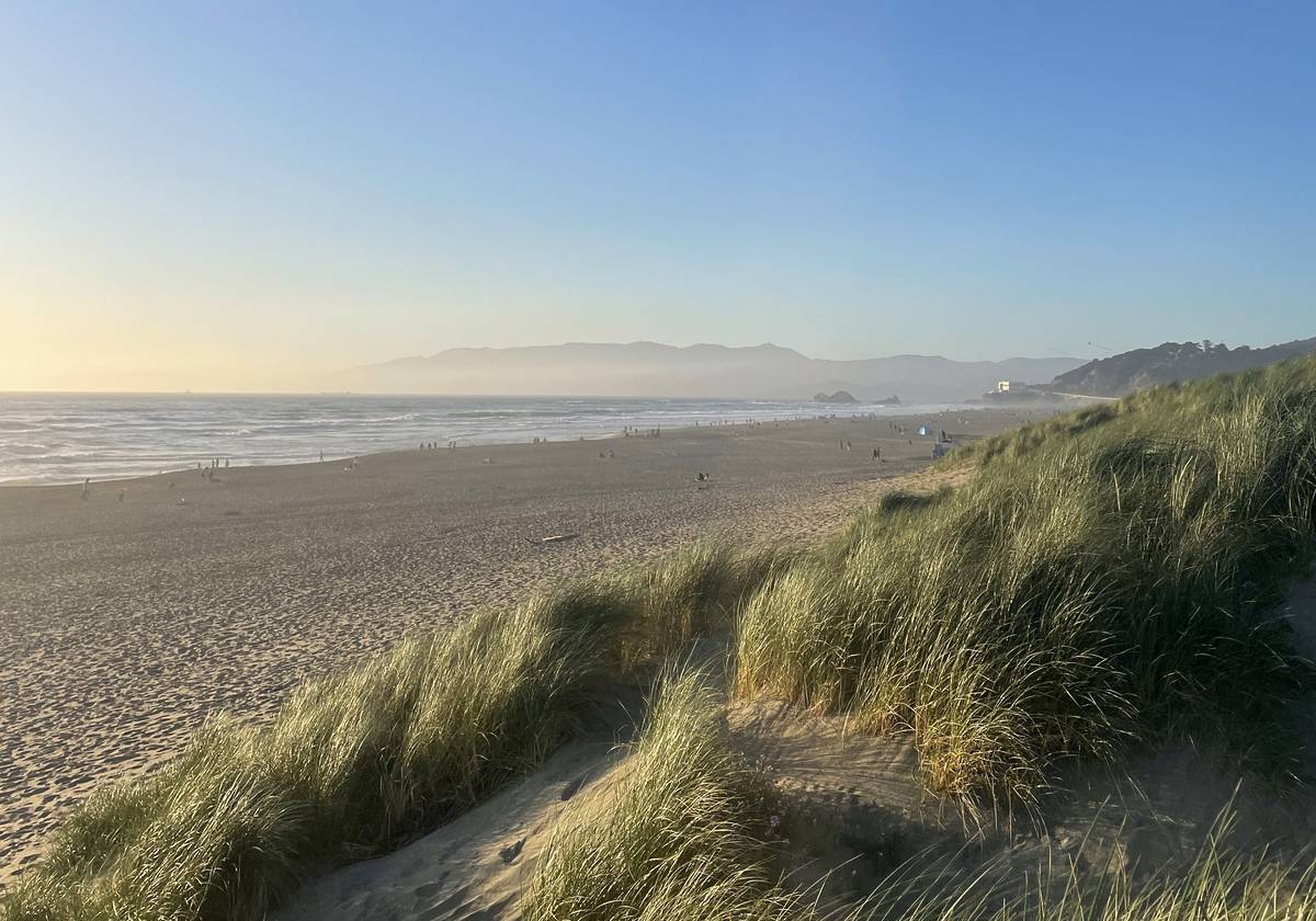 Early San Francisco Was Once Covered In Sprawling Sand Dunes Early San Francisco Was Once Covered In Sprawling Sand Dunes