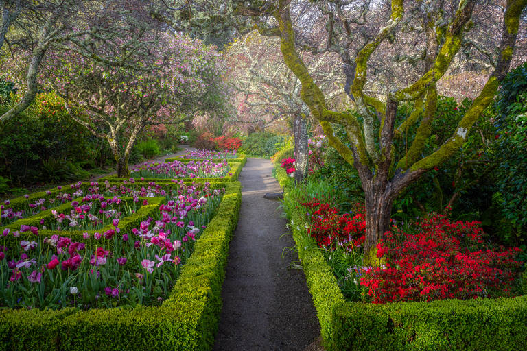 34 Epic Things To Do This April In San Francisco (2026)
