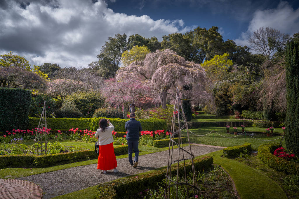 Tens Of Thousands Of Flowers Are Blooming This May At Filoli