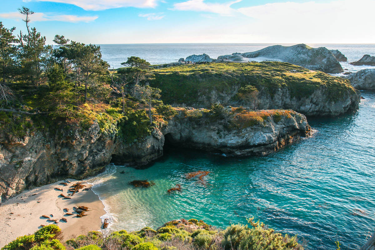 Point Lobos Is Known As The 'Crown Jewel' Of CA State Parks