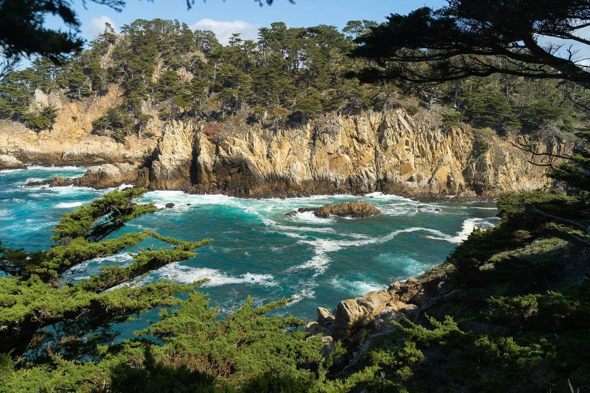 Point Lobos Is Known As The 'Crown Jewel' Of CA State Parks