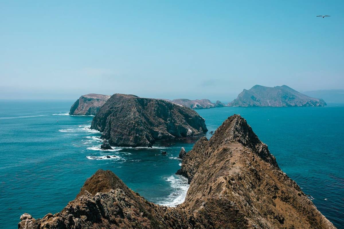 CA's Channel Islands Are The 'Galápagos Of North America'