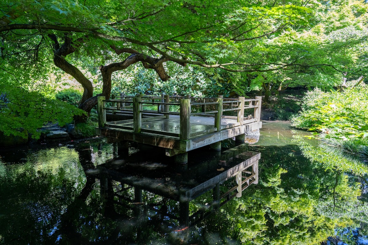 An Interactive Light Display With Over A Million Lights Is Coming To ...