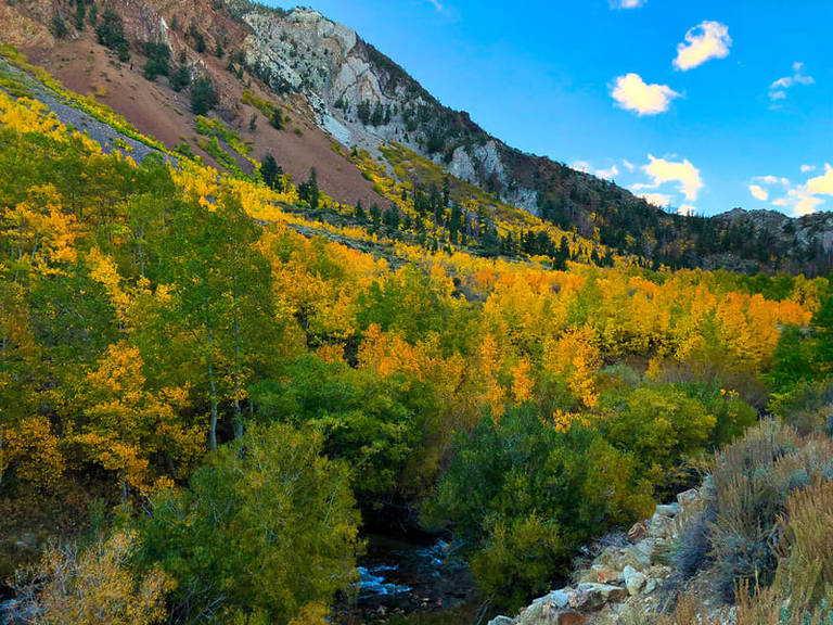 Bishop, California Named State's Best Place To See Fall Foliage