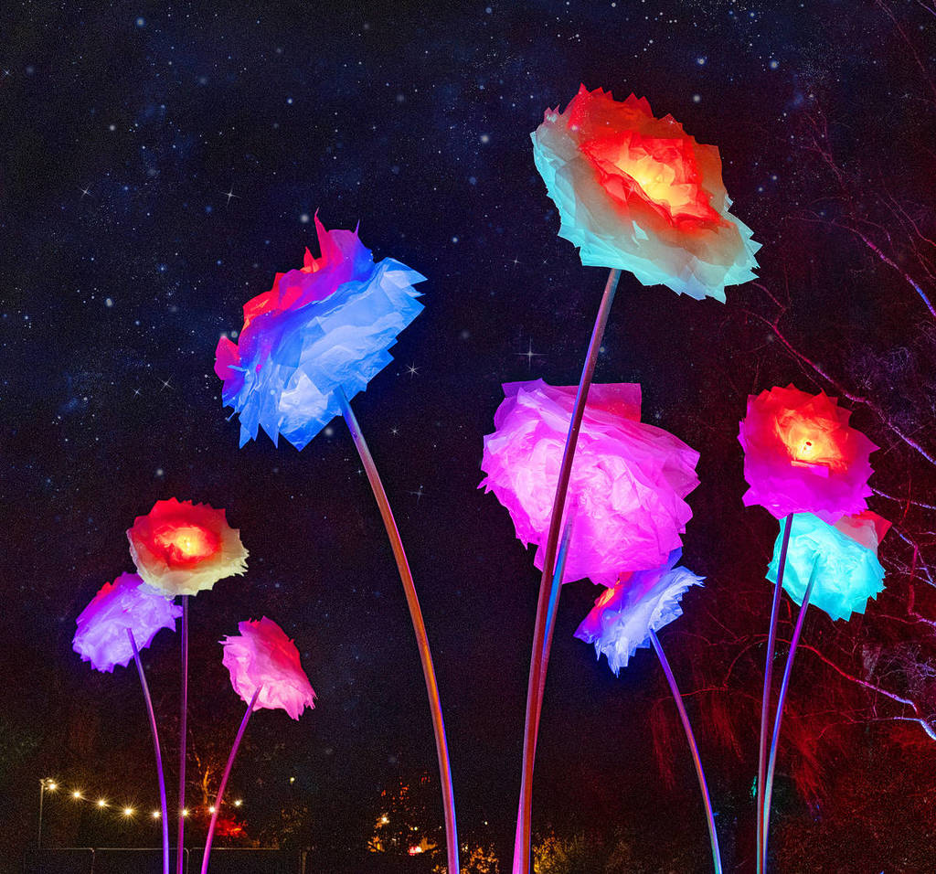 The Botanical Garden's Holiday Light Show Has Added Extra Dates Due To ...