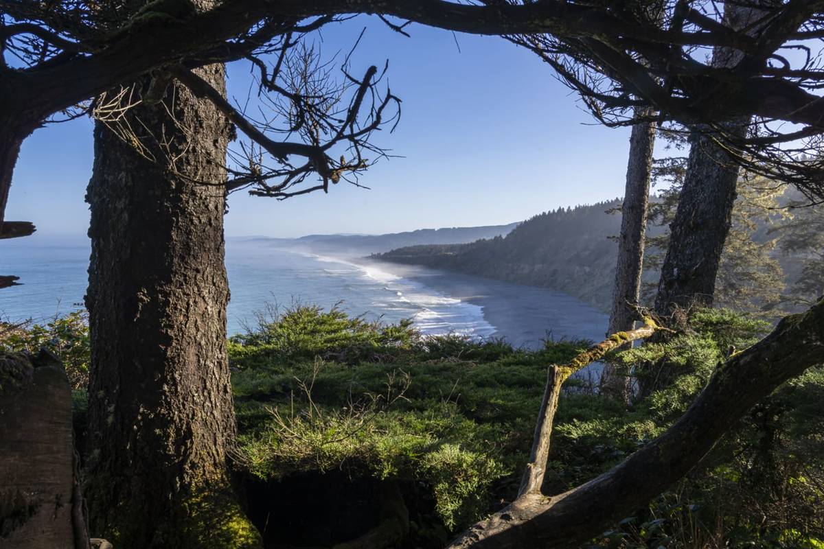 California State Parks Week Hosts 171 Free Activities In June 2026