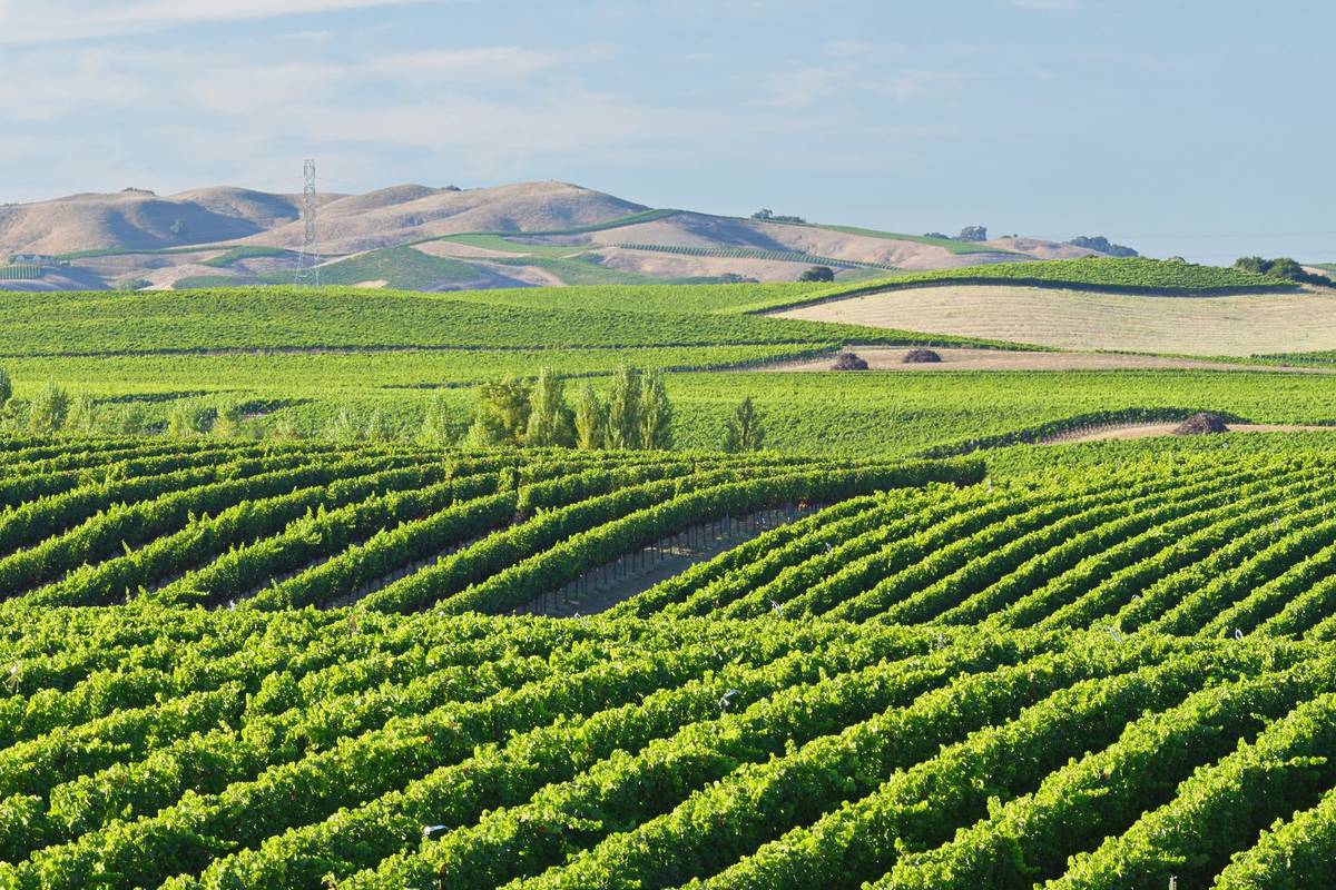 Napa Valley Vine Trail has completed about 70% of its 47-mile path