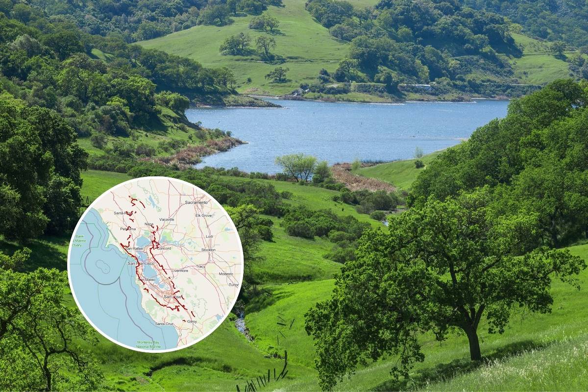 14.1-mile trail is one of Bay Area Ridge Trail's longest new sections
