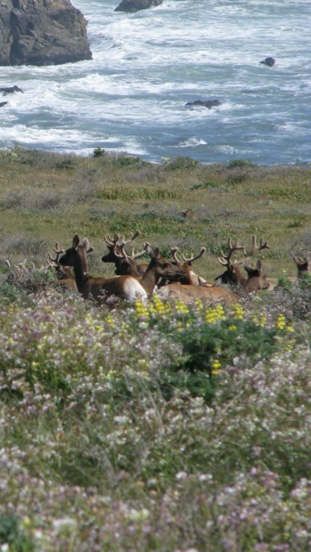 This unfinished 1,230-mile California trail quietly links dozens of ...