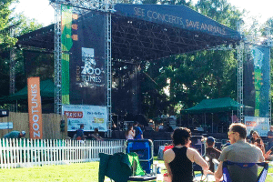 11 Summer Music Festivals Happening In Seattle in 2025