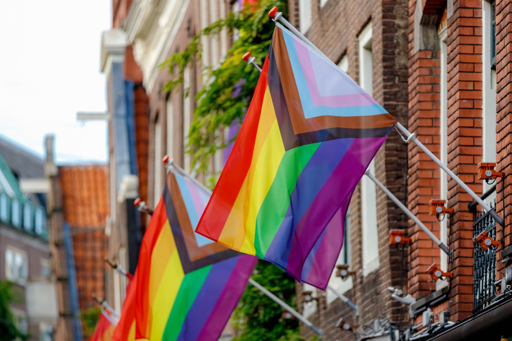 10 LGBTQIA+ Pride Flags And Their Meanings