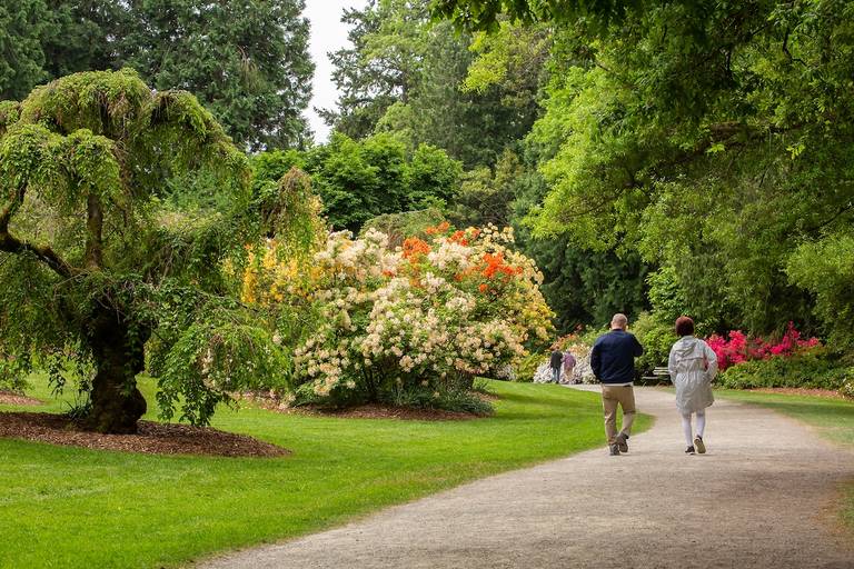 Date Ideas In Seattle: 36 Romantic Escapades In The City