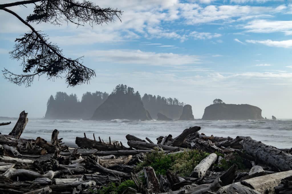 10 Washington Beaches To Visit This Summer For Epic Views