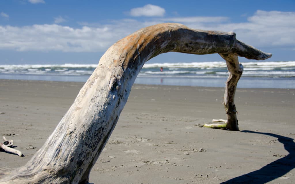 10 Washington Beaches To Visit This Summer For Epic Views