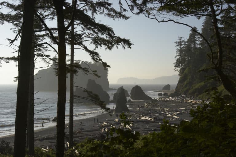 10 Washington Beaches To Visit This Summer For Epic Views